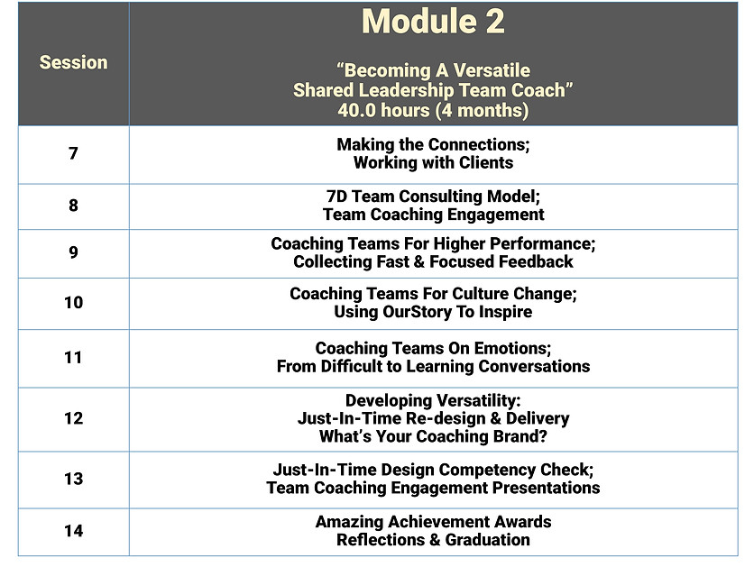 Team-Coach-Certification-Program